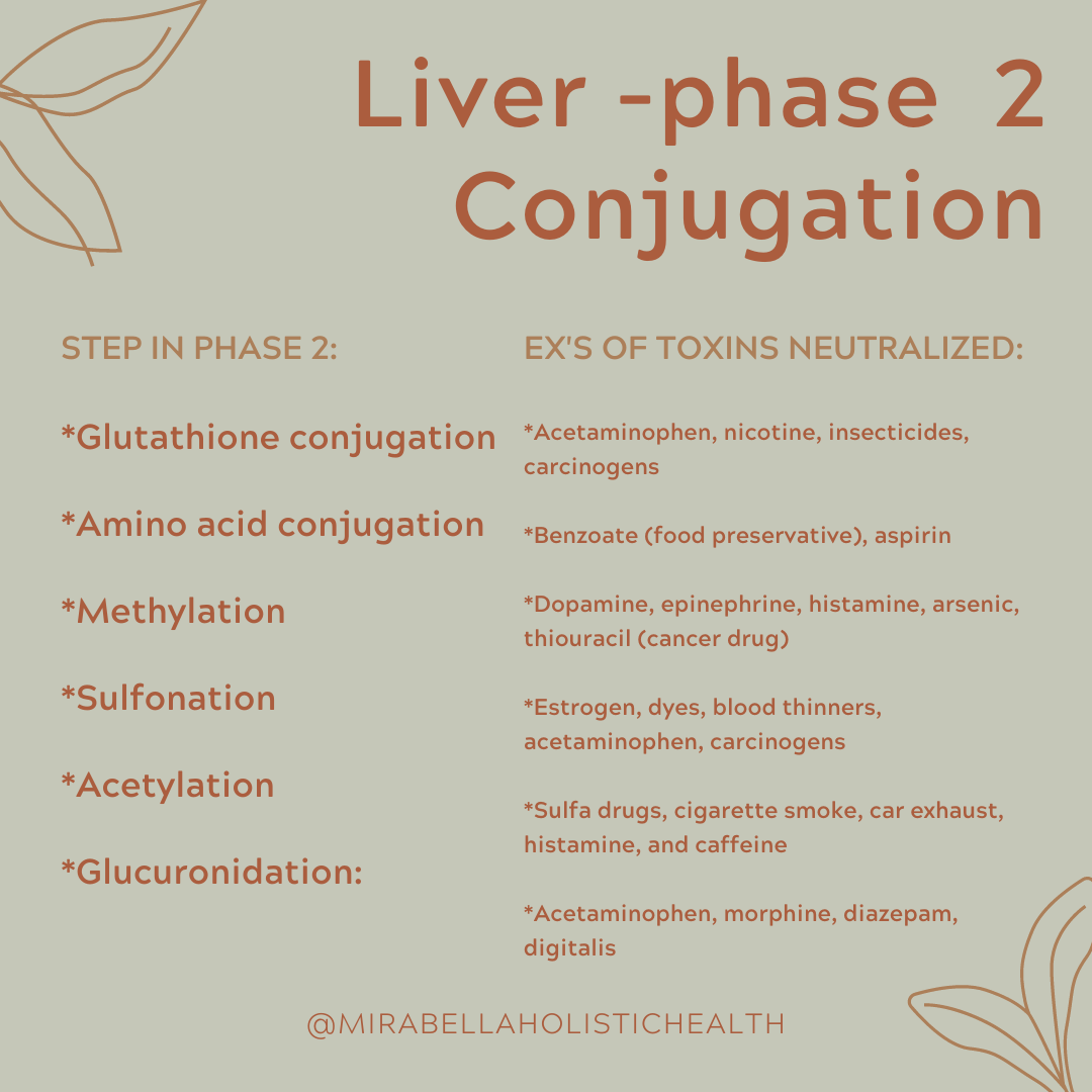 Phase 2 Liver Detox: Conjugation - mirabellaholistic.com